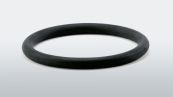 Freudenberg Sealing Technologies · O-Rings